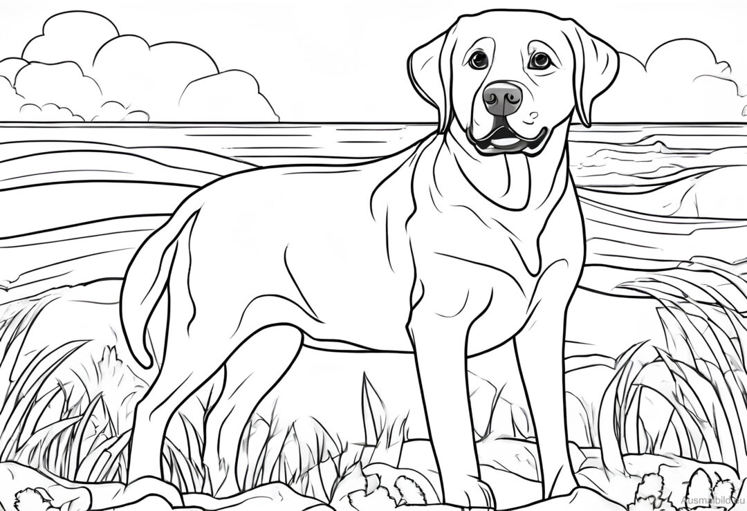 Labrador am Strand - Ausmalbild.eu