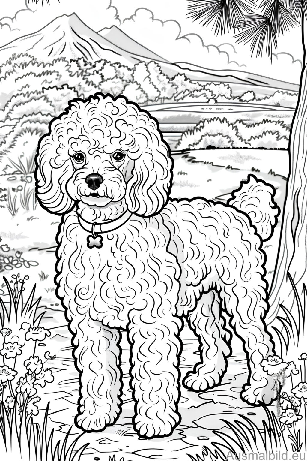 Pudel 2 - Ausmalbild.eu